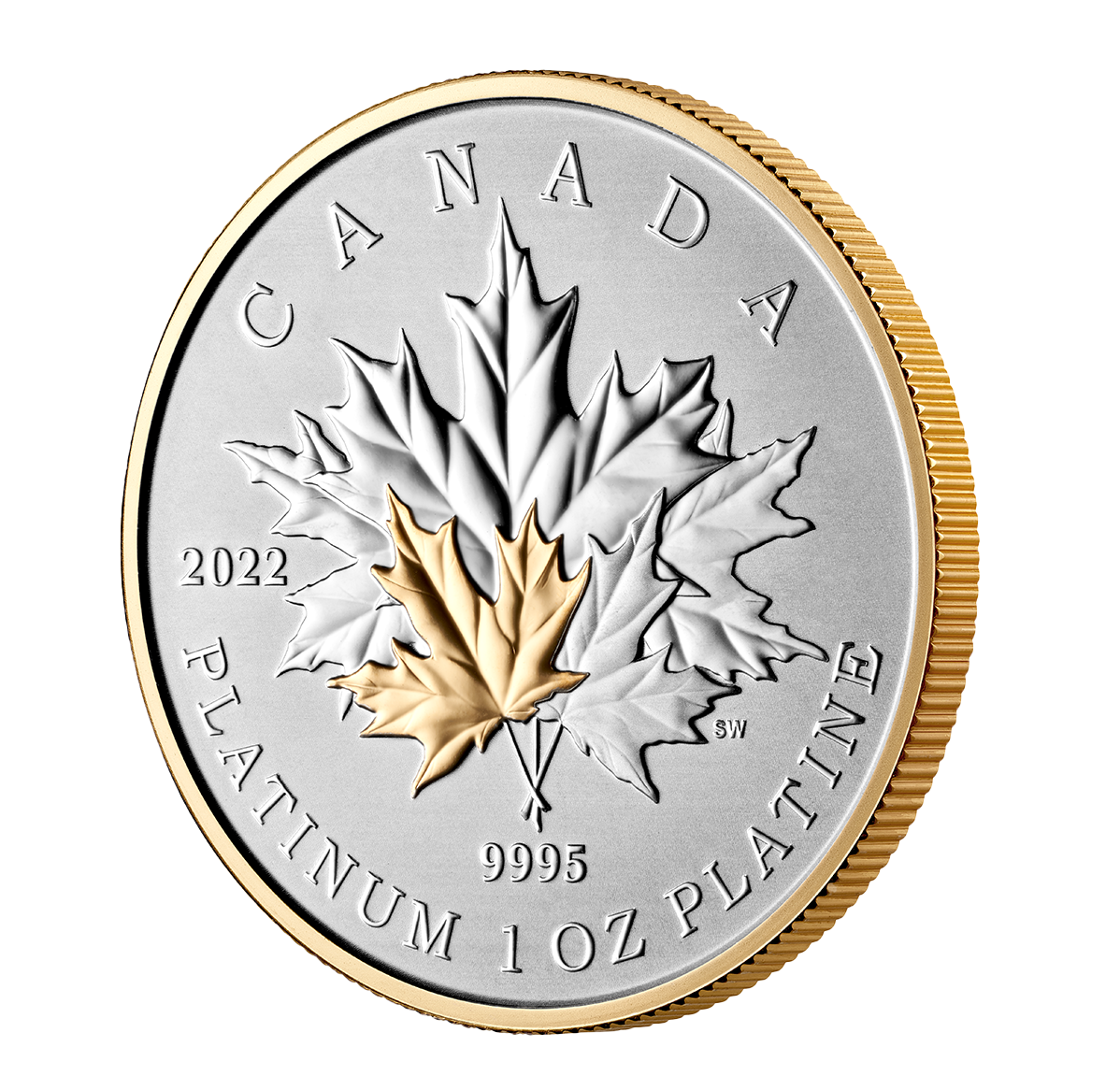 1 oz. 99.95% Pure Platinum Coin – Maple Leaf Forever (2022) | The Royal ...
