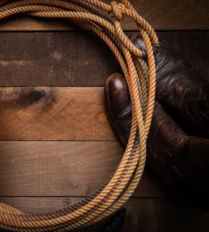 Gold Highlights a Historic Stampede for War Heroes | The Royal Canadian ...