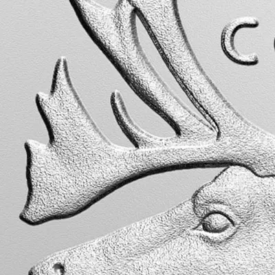 What’s in a finish? | The Royal Canadian Mint