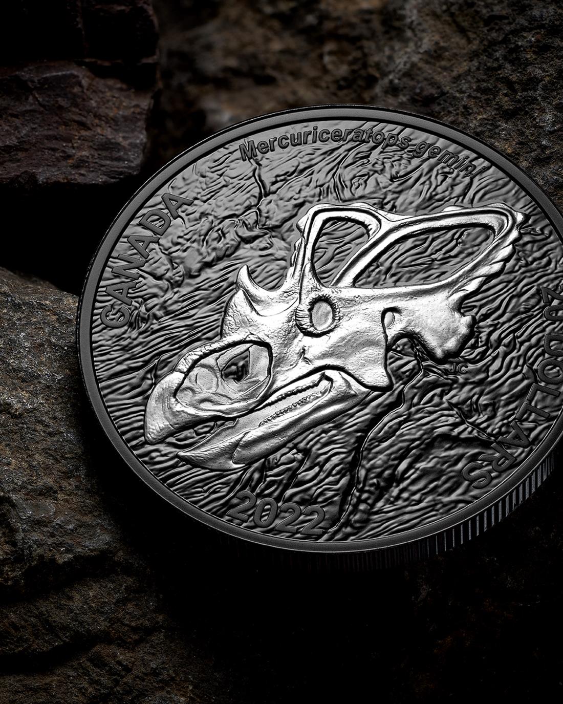 The Thrill of Discovery: Meet Mercury’s Horned Face Dinosaur | The ...