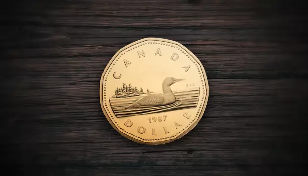 A Coin for a Modern World: Exploring the Story Behind Canada’s Toonie ...