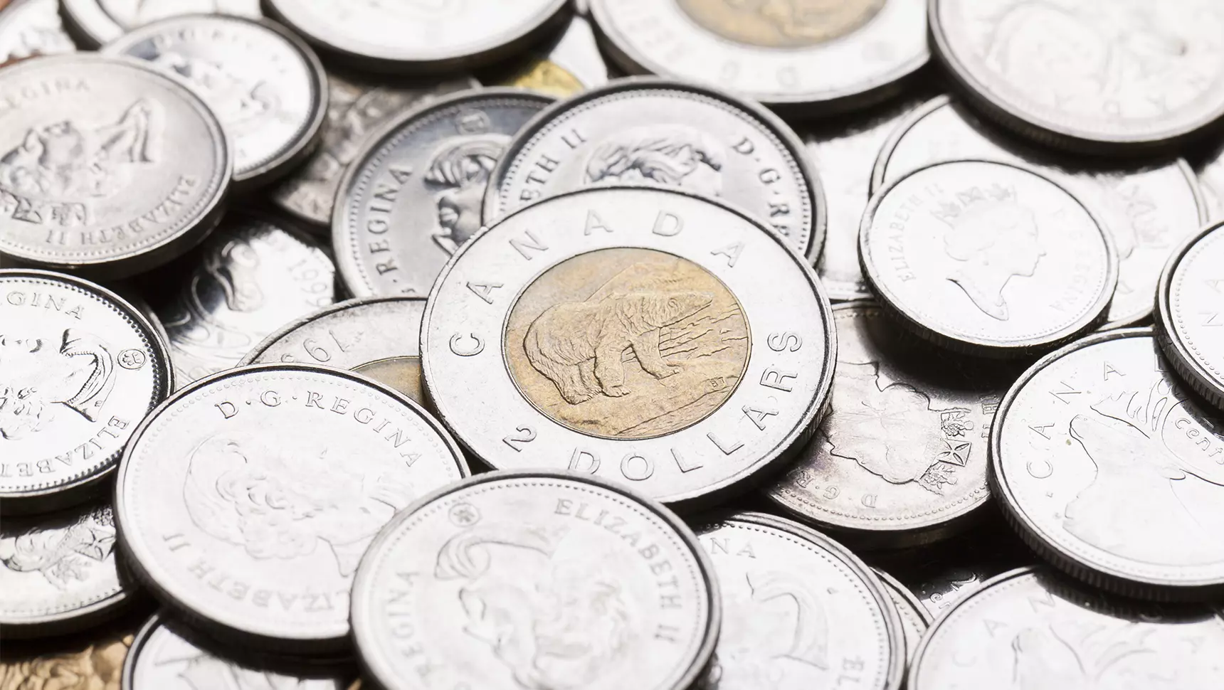 Discover | The Royal Canadian Mint