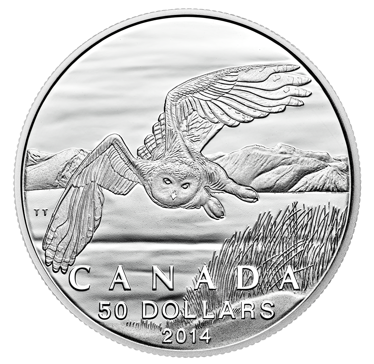 $50 for $50 Fine Silver Coin - Snowy Owl (2014) | The Royal Canadian Mint