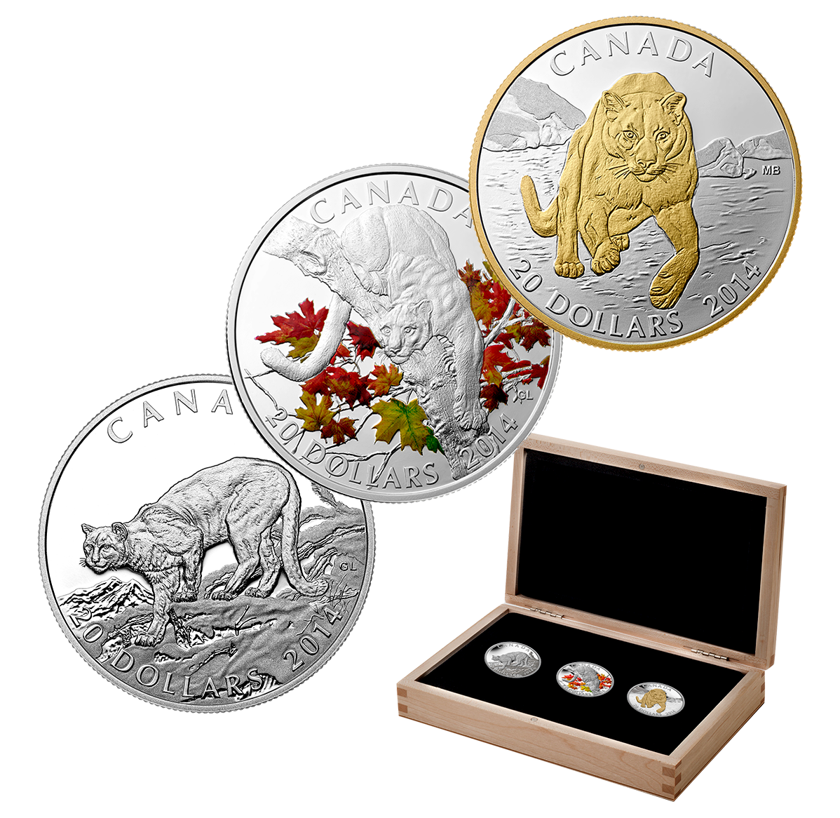 1 oz. Fine Silver 3-Coin Subscription - Cougar (2014) | The Royal ...