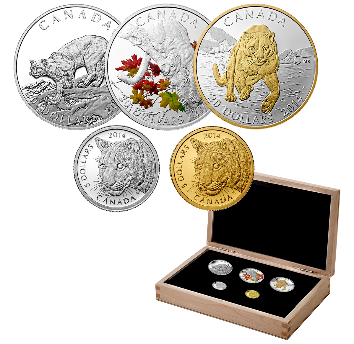 5-Coin Subscription - Cougar (2014) | The Royal Canadian Mint