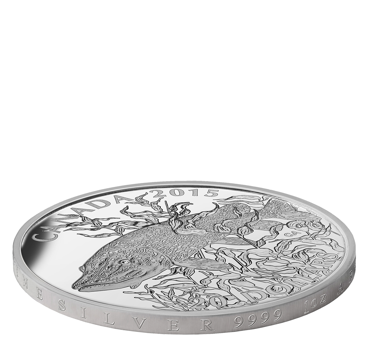 1 oz. Fine Silver Coin - North American Sportfish: Northern Pike ...