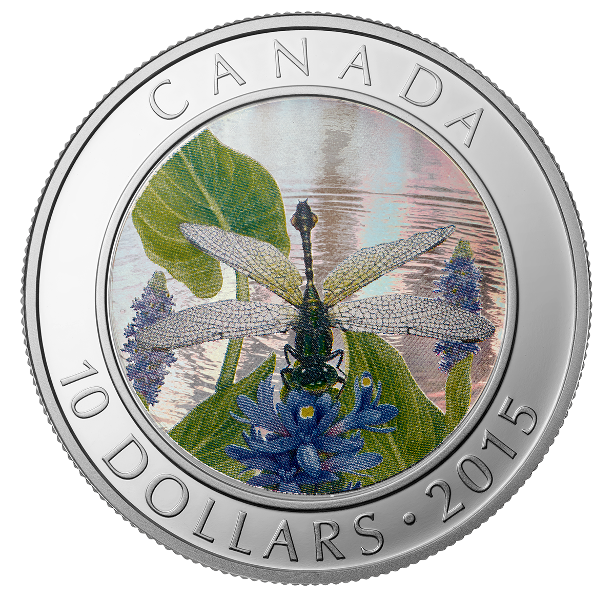The Pygmy Snaketail - 1/2 oz. Fine Silver Coloured Hologram Coin (2015 ...