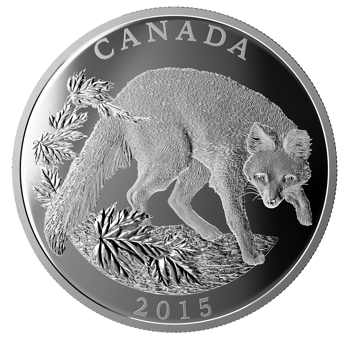 Half Kilogram Fine Silver Coin - Conservation Series: The Grey Fox ...