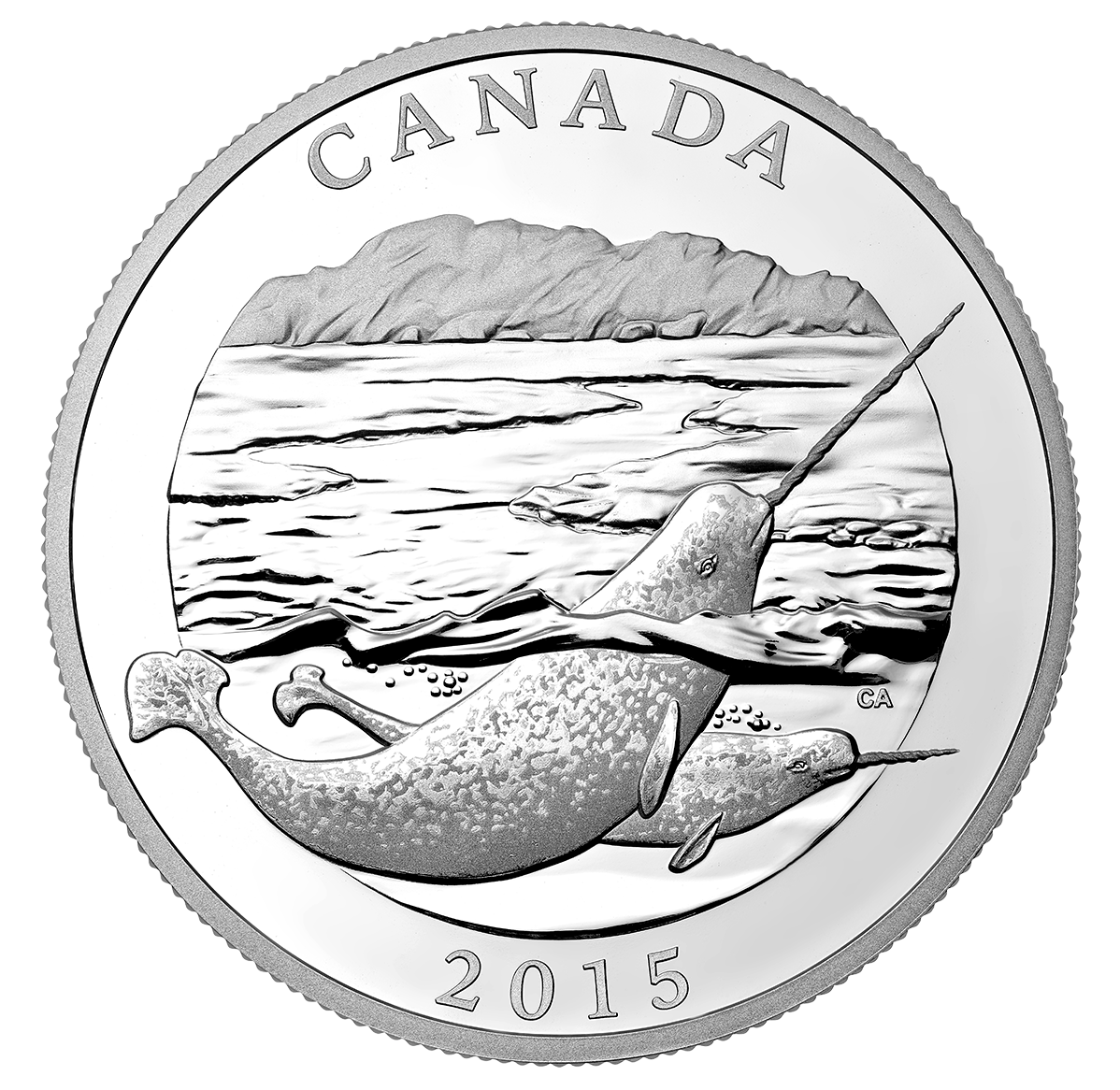 Half Kilogram Fine Silver Coin – Conservation Series: The Narwhal ...