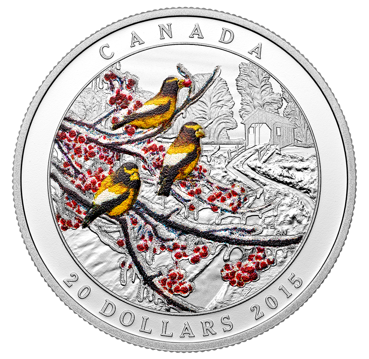 1 oz. Fine Silver Coin – Weather Phenomenon: Winter Freeze – Mintage ...