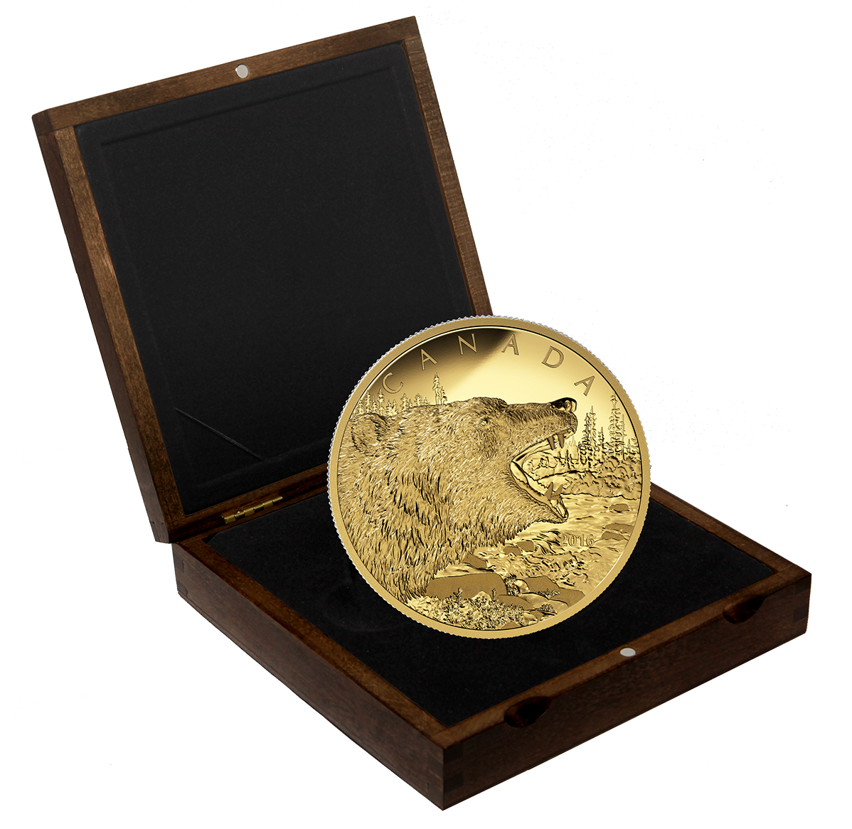1/2 Kilogram Pure Gold Coin - Roaring Grizzly Bear - Mintage: 20 (2016 ...