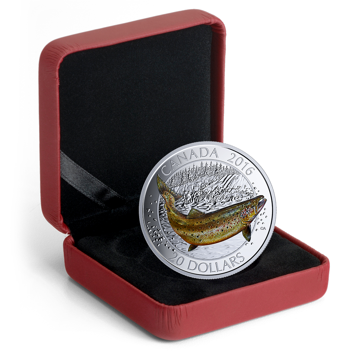1 oz. Pure Silver Coloured Coin – Big Fish Series: Atlantic Salmon ...