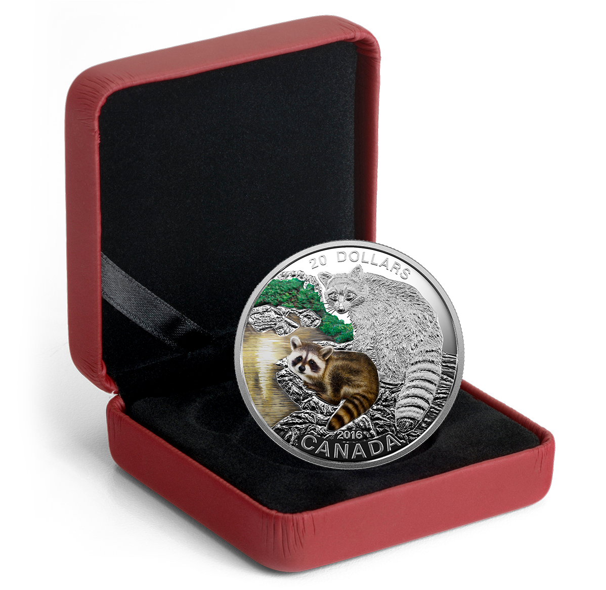 1 oz. Fine Silver Coloured Coin - Baby Animals: Baby Raccoon - Mintage ...