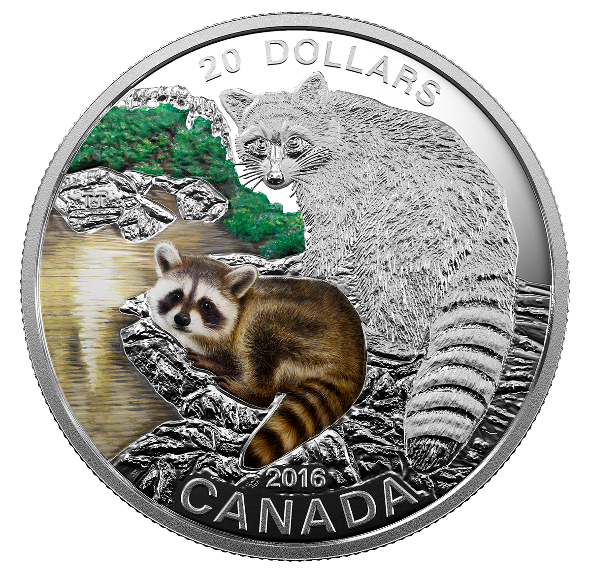 1 oz. Fine Silver Coloured Coin - Baby Animals: Baby Raccoon - Mintage ...