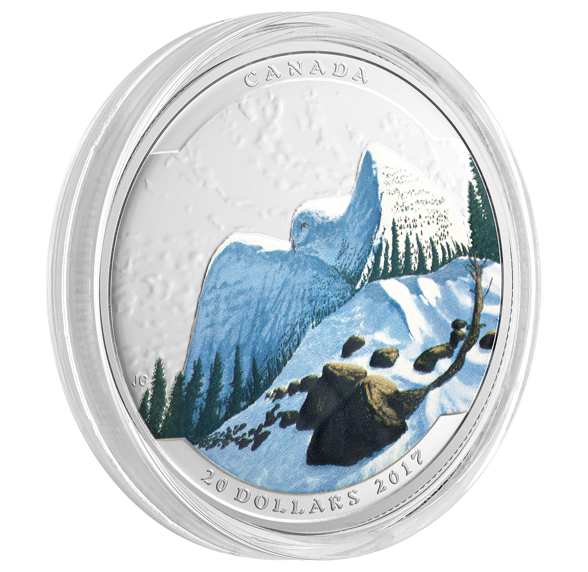 1 oz. Pure Silver Coloured Coin - Landscape Illusion: Snowy Owl ...