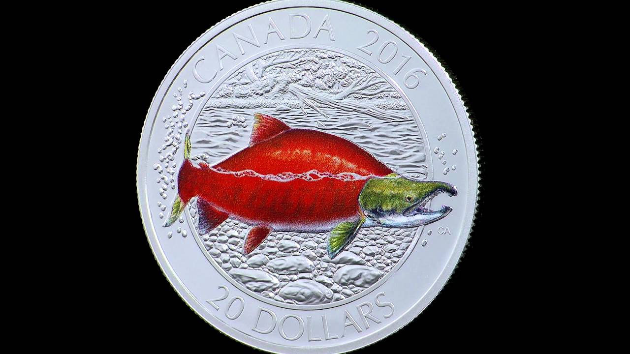 1 oz. Pure Silver Coloured Coin - Big Fish Series: Sockeye Salmon ...