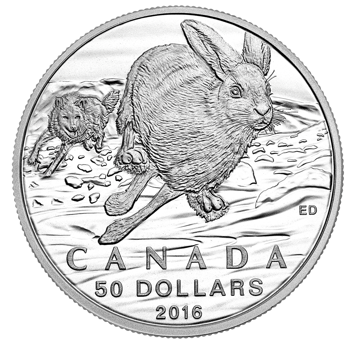 $50 for $50 Fine Silver Coin - Hare (2016) | The Royal Canadian Mint