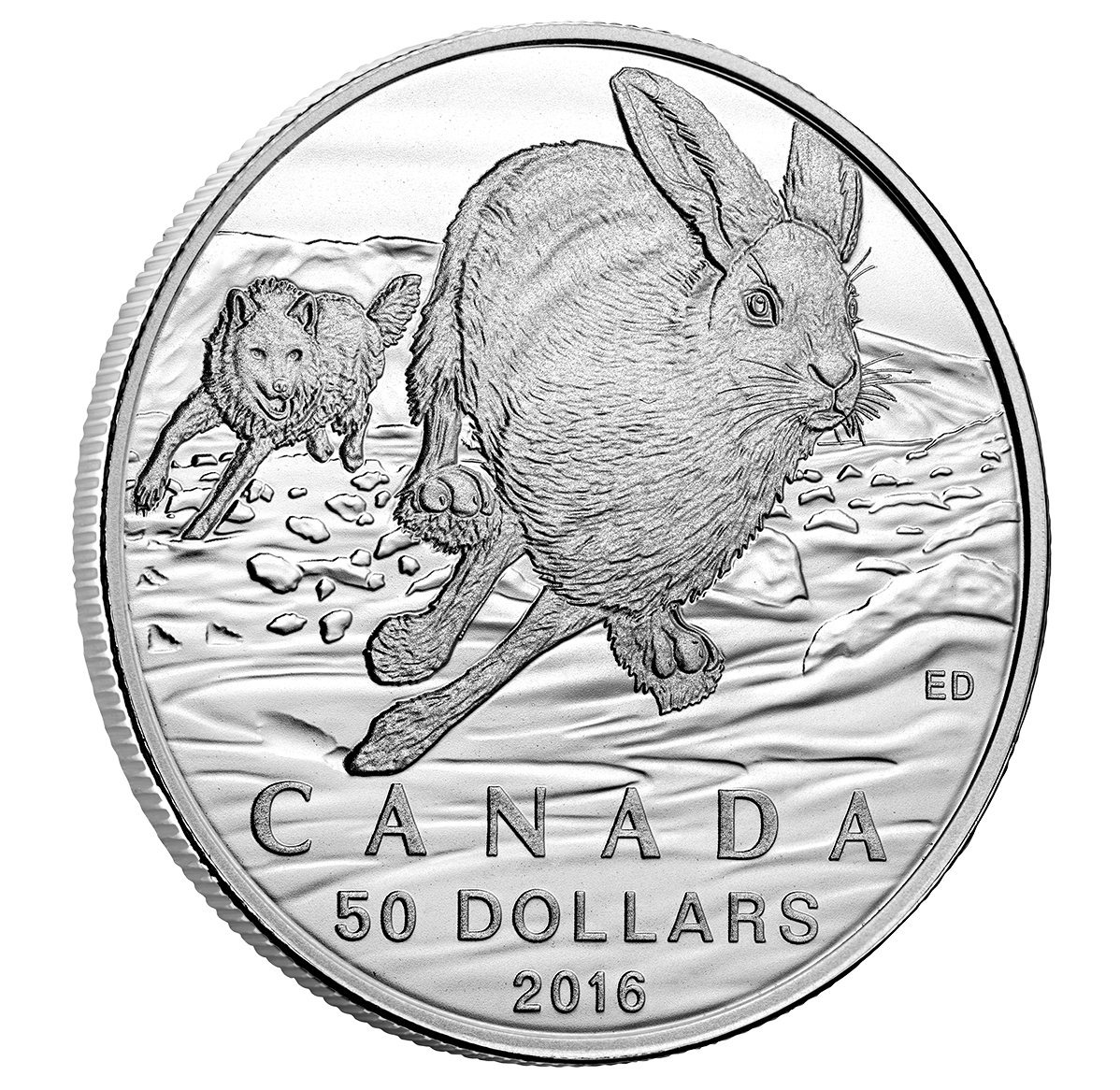$50 for $50 Fine Silver Coin - Hare (2016) | The Royal Canadian Mint