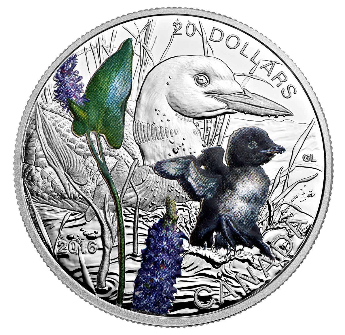 1 oz. Pure Silver Coloured Coin – Baby Animals: Common Loon – Mintage ...