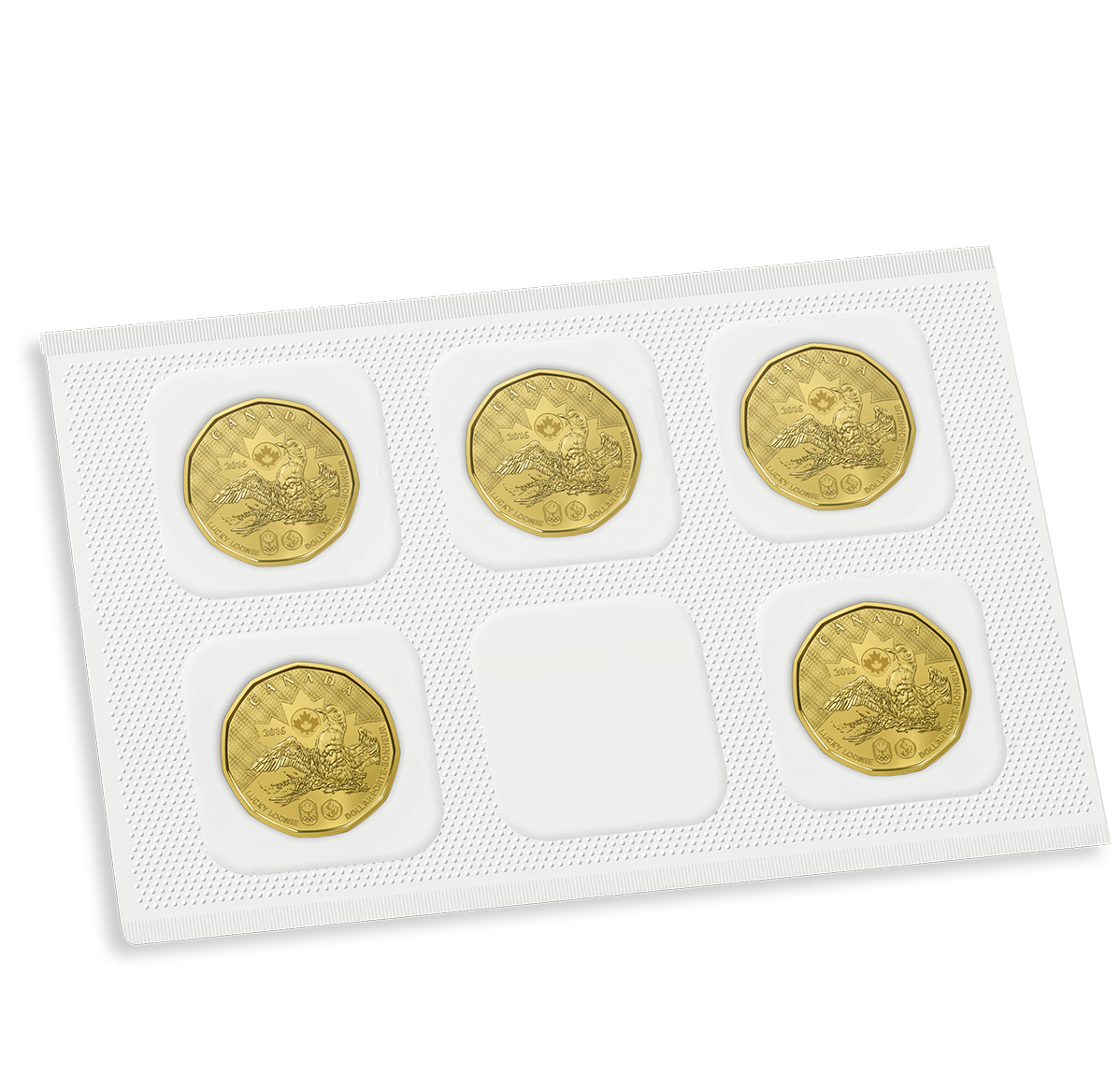 Lucky Loonie Coin Pack (2016) | The Royal Canadian Mint