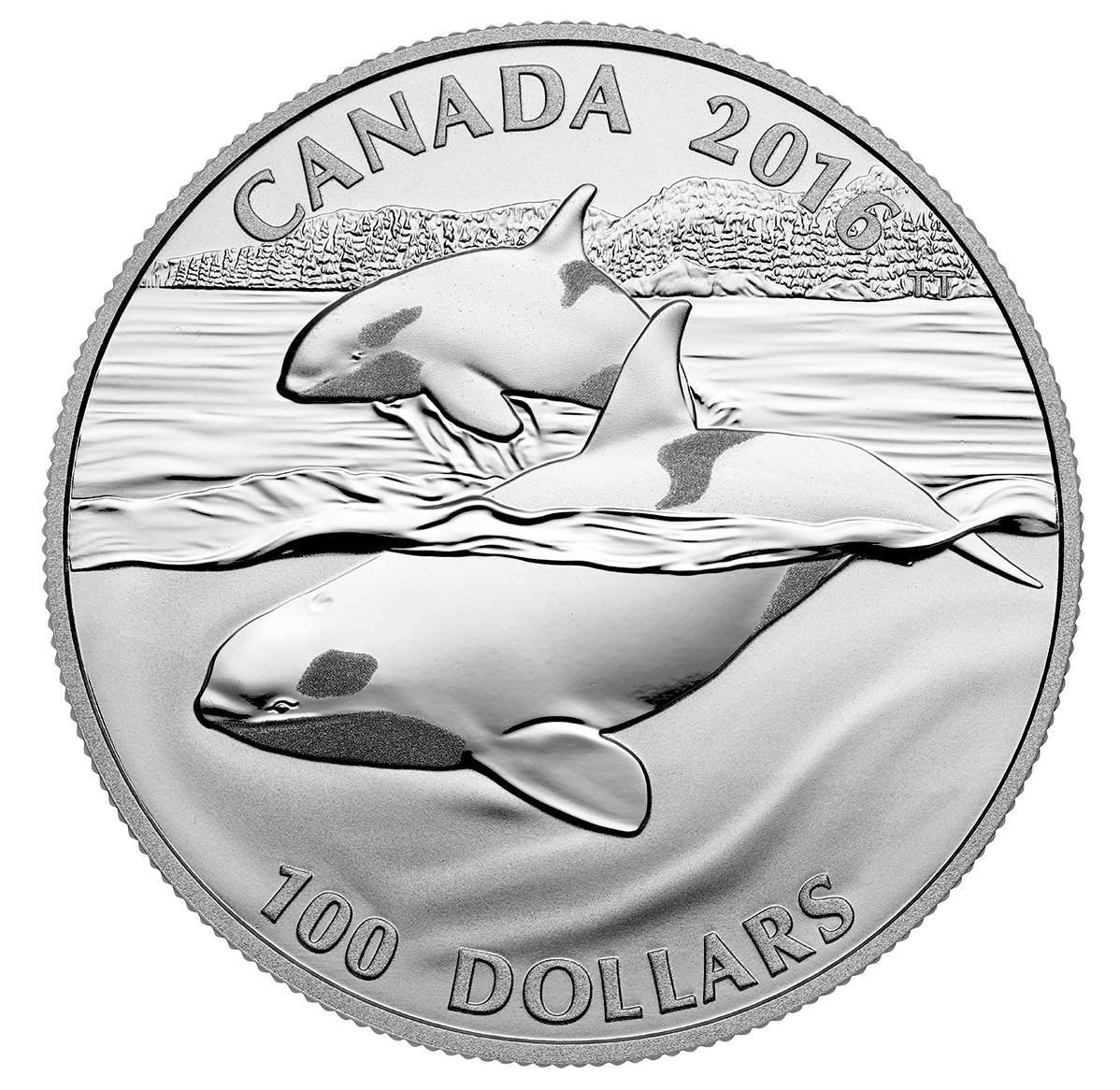 $100 for $100 Fine Silver Coin – Orca (2016) | The Royal Canadian Mint