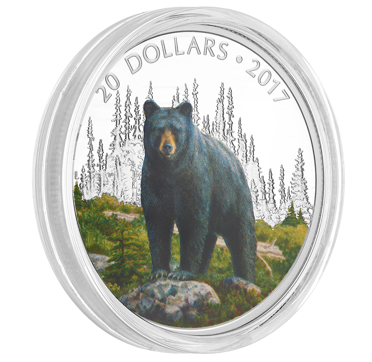 1 oz. Pure Silver Coloured Coin - Majestic Animals: The Bold Black Bear ...