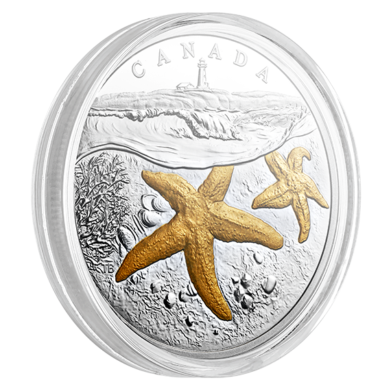 1 oz. Pure Silver Gold-Plated Coin - From Sea To Sea To Sea: Atlantic ...
