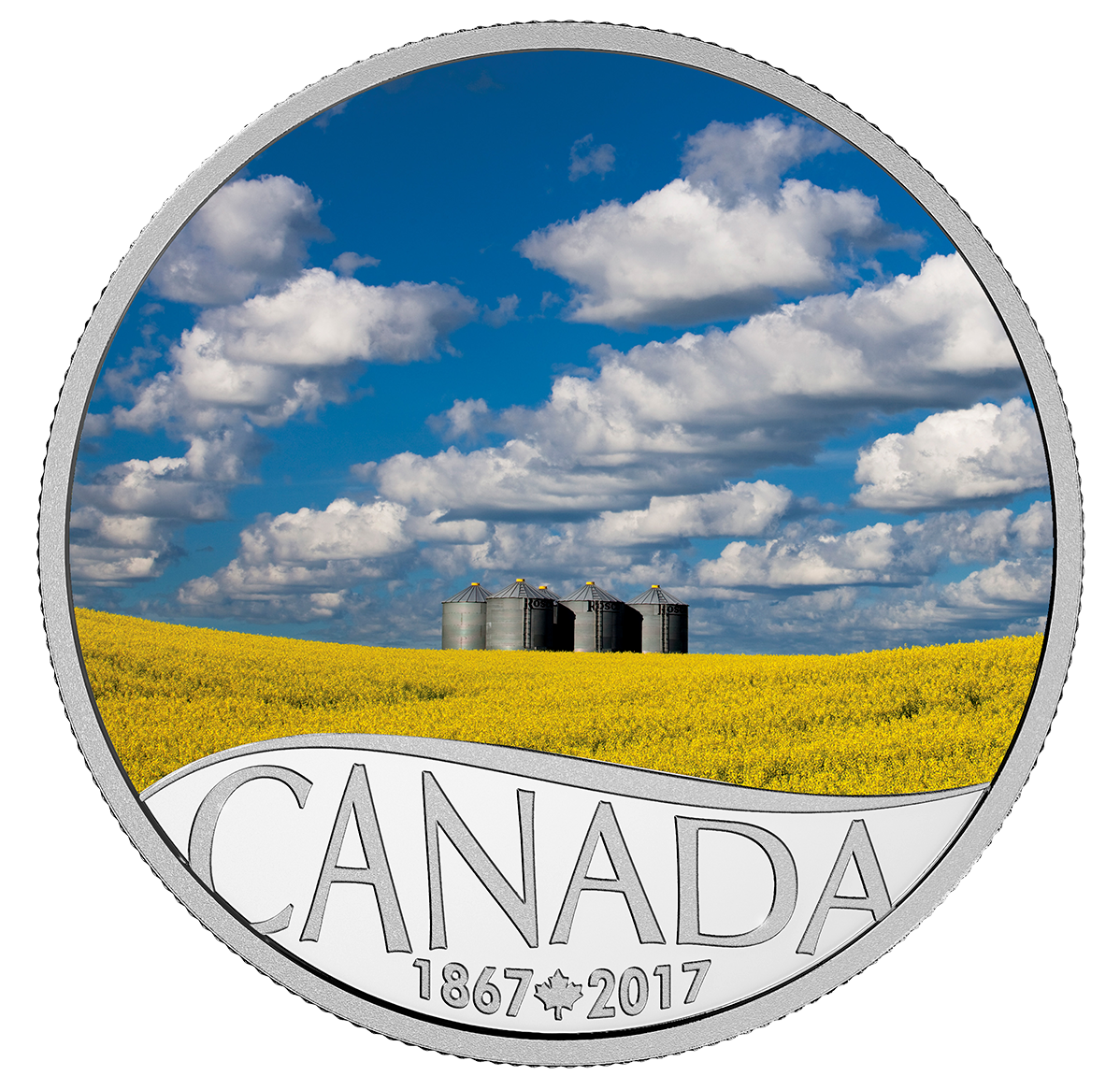 Celebrating Canada's 150th Coin Series: 1/2 oz. Pure Silver 13-Coin ...