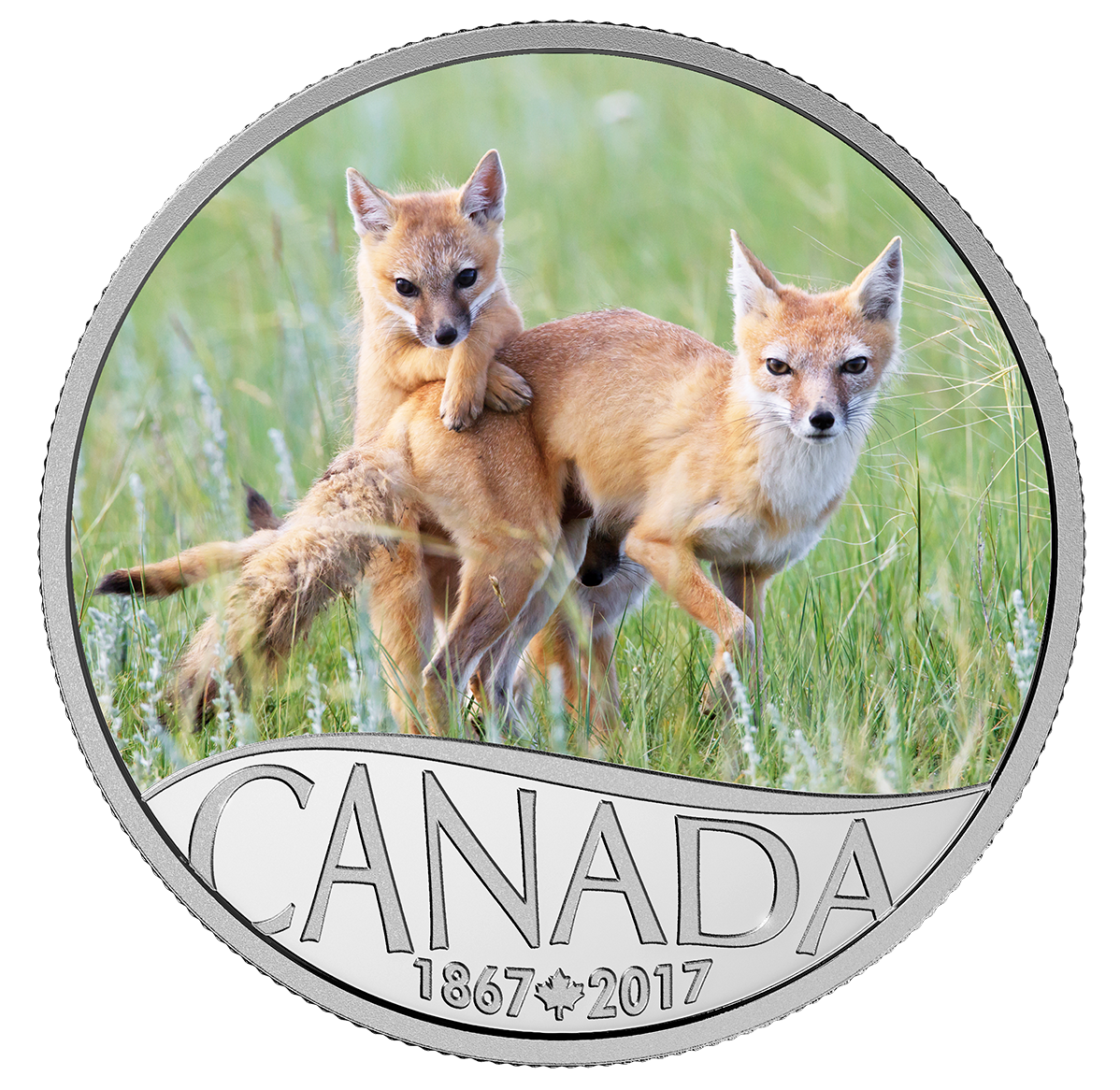 Celebrating Canada's 150th Coin Series: 1/2 oz. Pure Silver 13-Coin ...