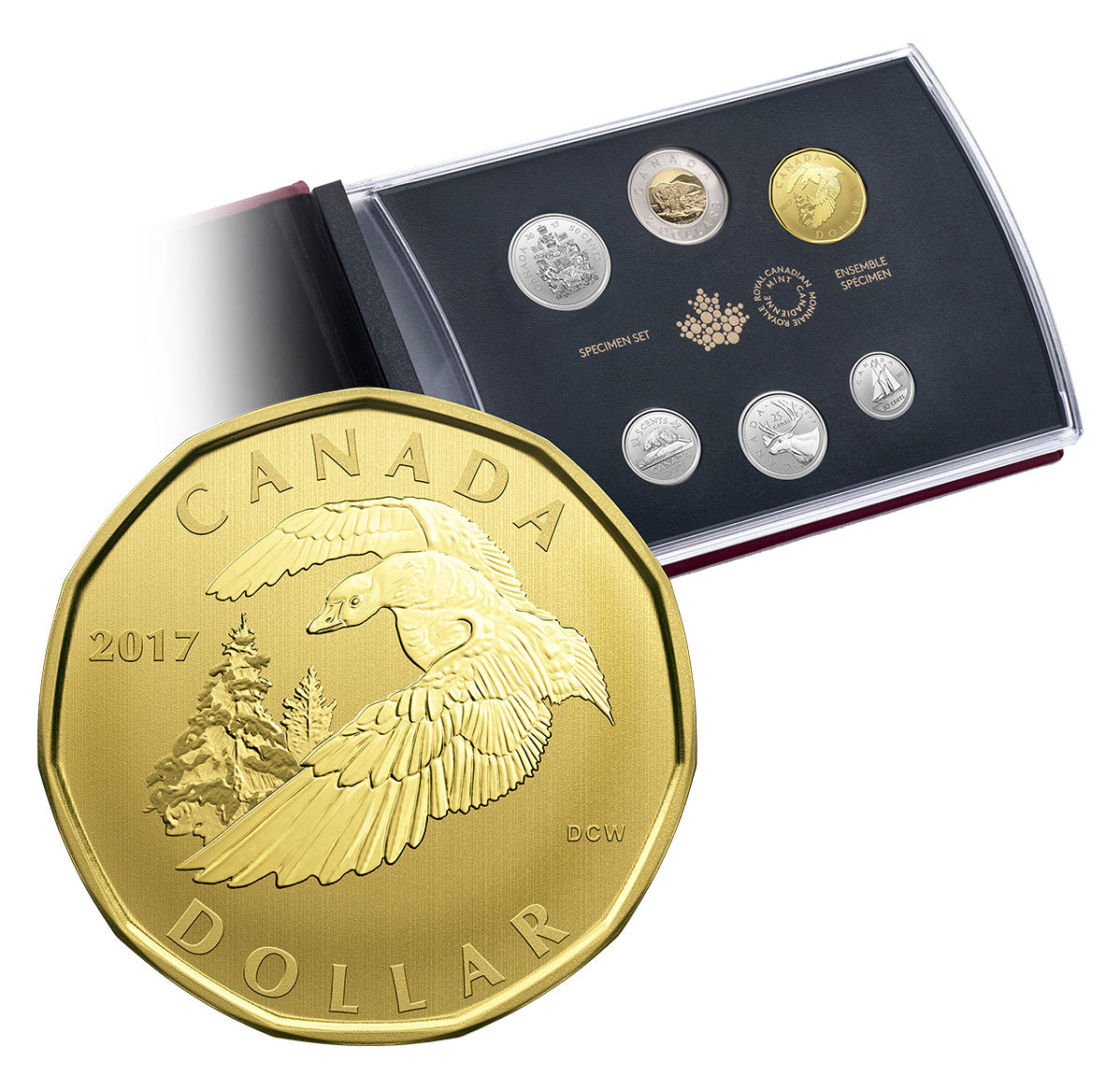 6-Coin Specimen Set - Snow Goose (2017) | The Royal Canadian Mint