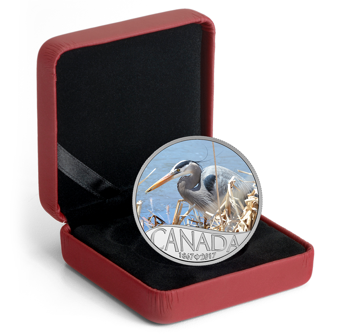 1/2 oz. Pure Silver Coloured Coin - Celebrating Canada's 150th Coin ...
