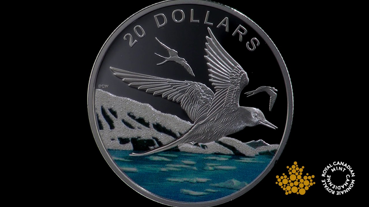1 oz. Pure Silver Coloured Coin - Glistening North: Arctic Tern - Mintage: 7,500 (2017) | The ...