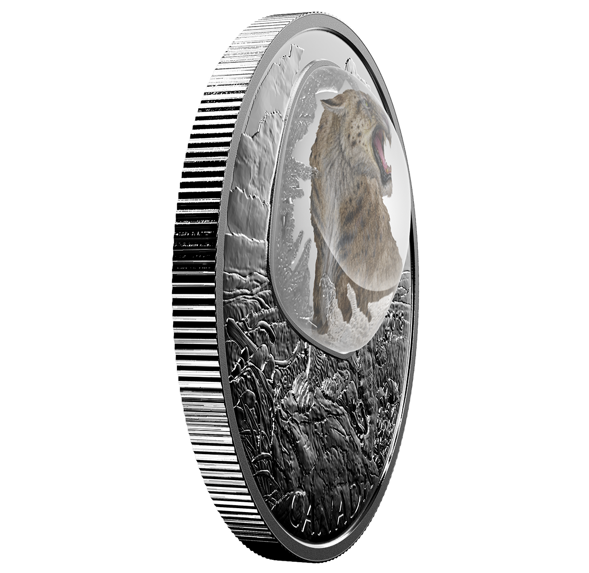 1 oz. Pure Silver Coloured Coin - Frozen in Ice: Scimitar Sabre-tooth ...