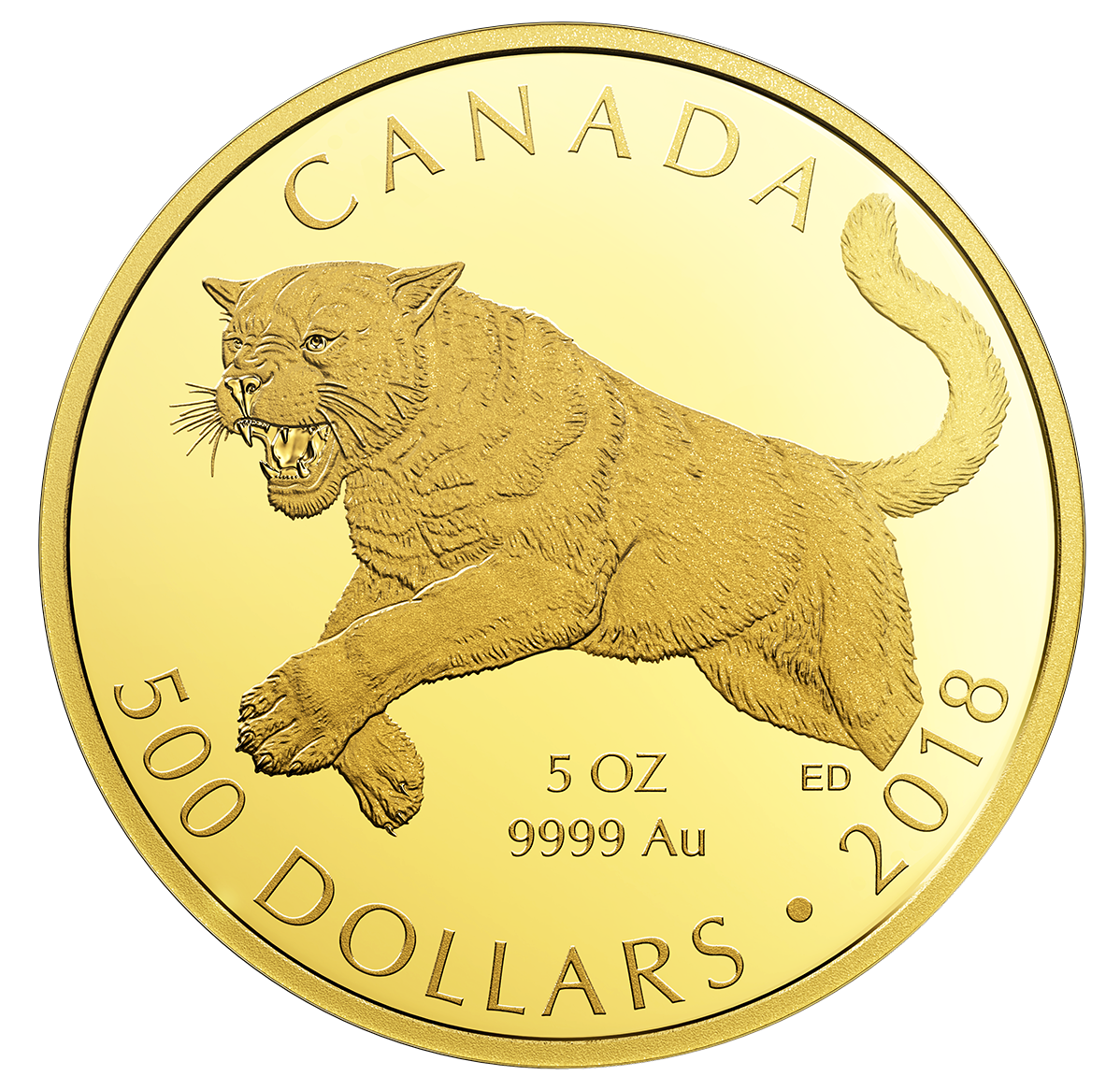 5 oz. Pure Gold Coin - Cougar - Mintage: 99 (2018) | The Royal Canadian ...
