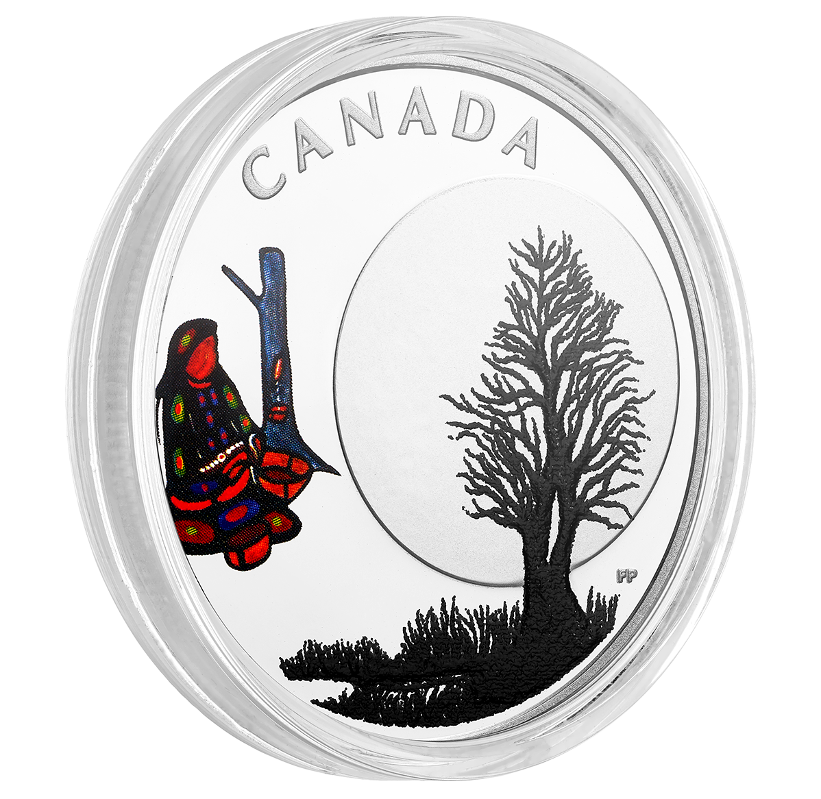 Pure Silver Coloured Coin - Thirteen Teachings From Grandmother Moon ...