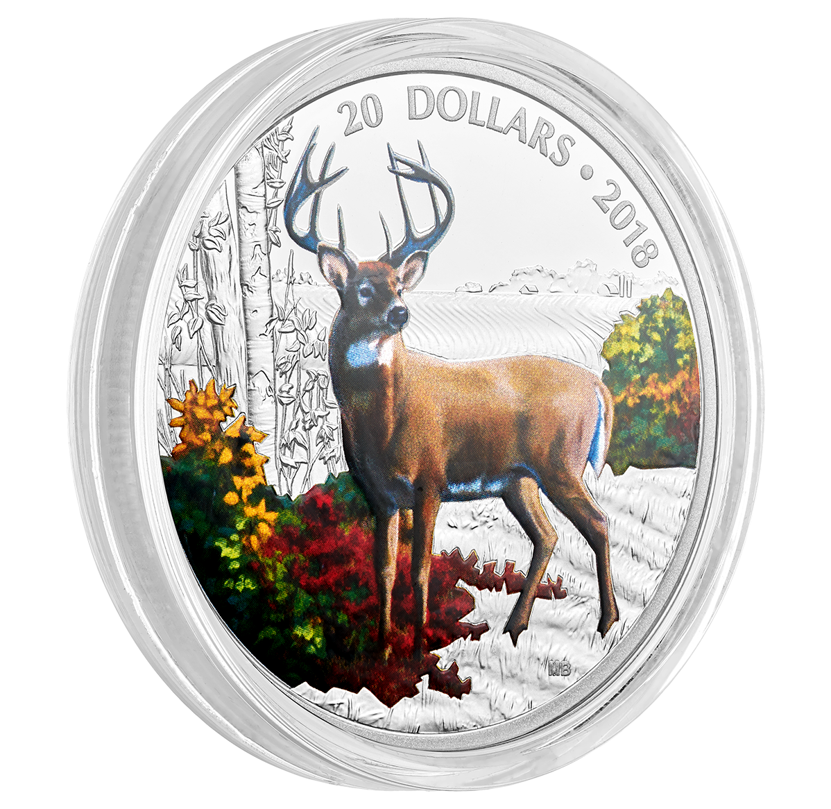 1 oz. Pure Silver Coloured Coin - Majestic Wildlife: Wandering White ...