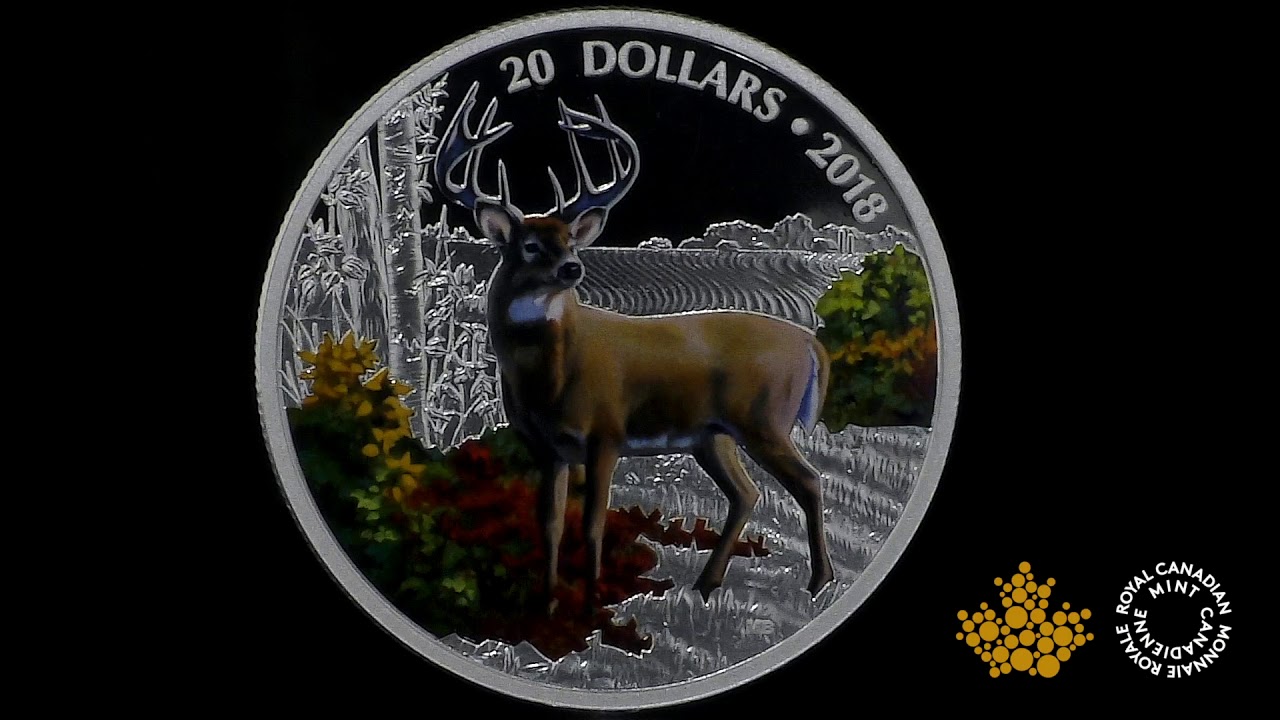 1 oz. Pure Silver Coloured Coin - Majestic Wildlife: Wandering White ...