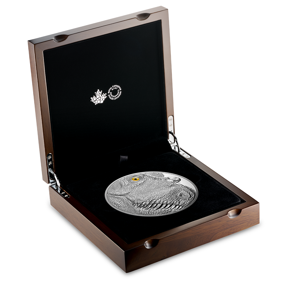 Pure Silver One Kilogram Coin - A Fierce Gaze: Tyrannosaurus Rex ...