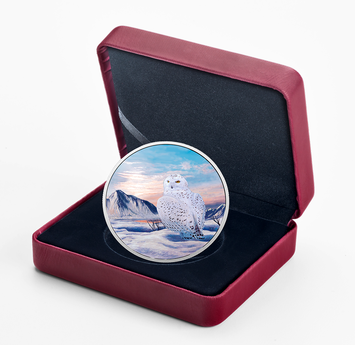 2 oz. Pure Silver Glow-in-the-Dark Coin - Arctic Animals: Snowy Owl ...