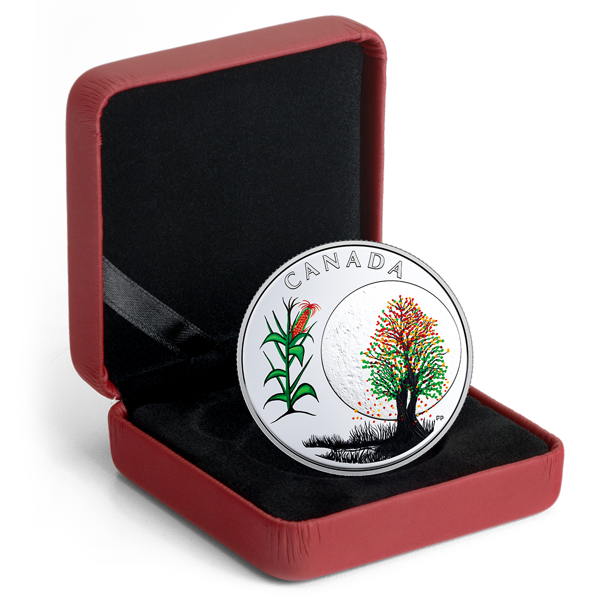 Pure Silver Coloured Coin - Thirteen Teachings From Grandmother Moon ...