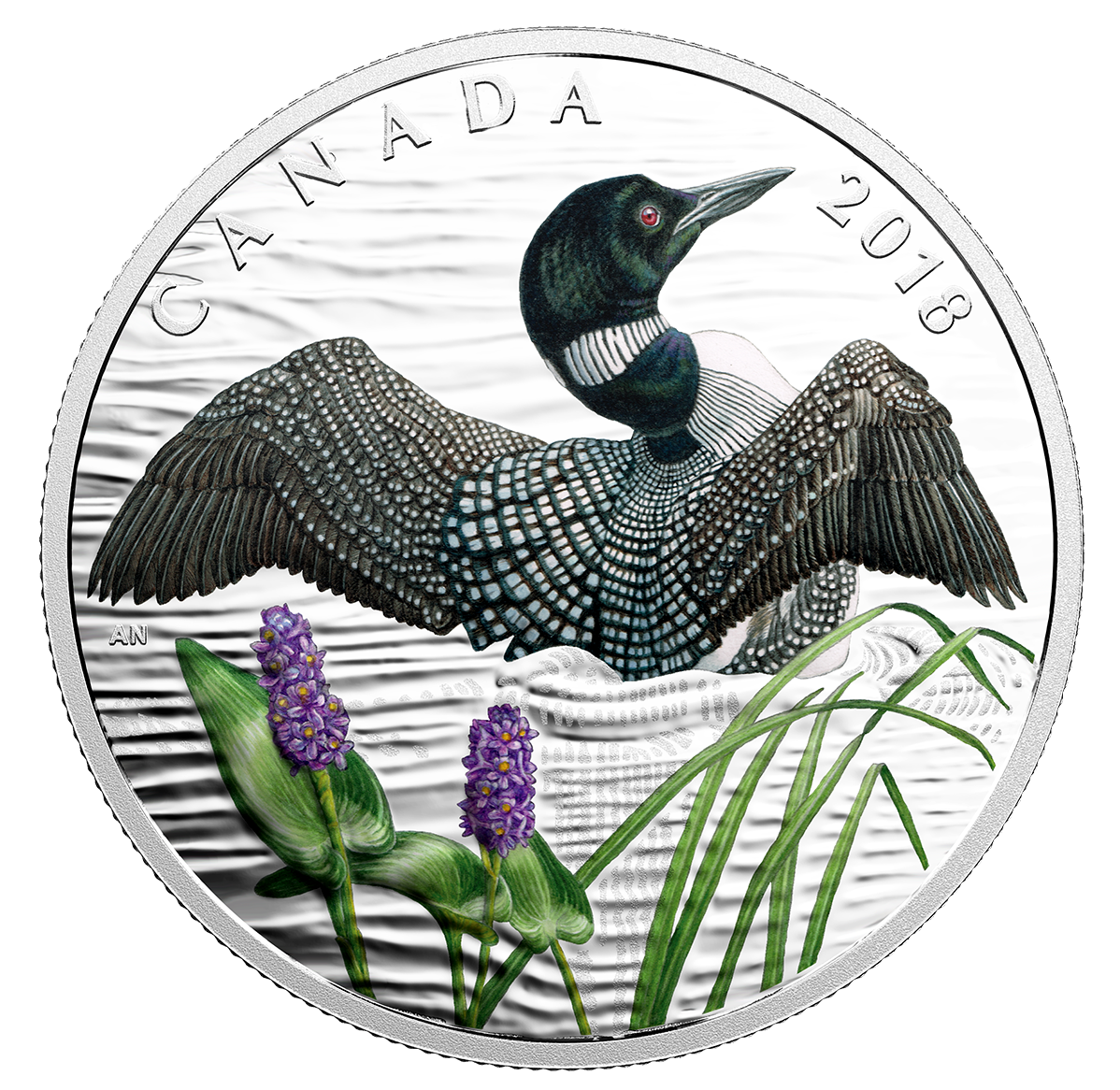 Pièce colorée en argent pur - Le plongeon huard : Grâce et beauté ...