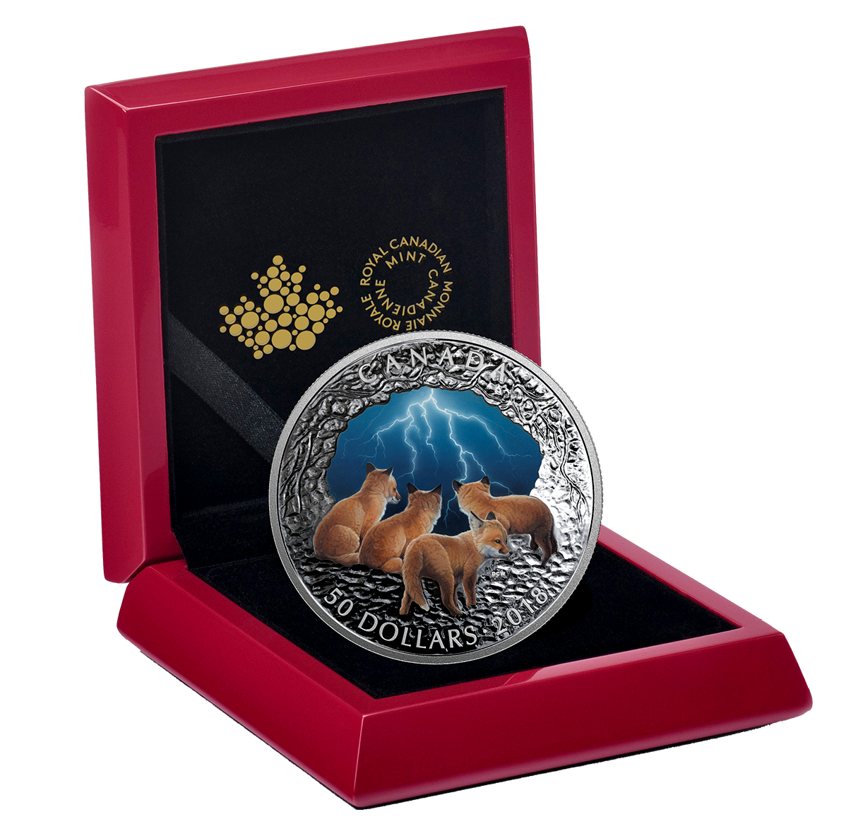 5 oz. Pure Silver Glow-in-the-Dark Coin - Nature's Light Show: Stormy ...