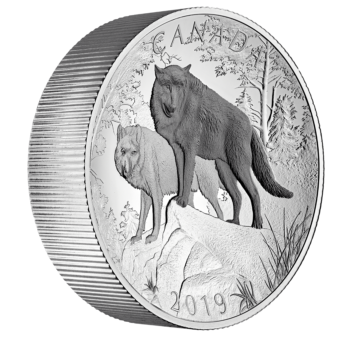 10 oz. Pure Silver Double-Concave Coin - Wolves: Nature's Grandeur ...