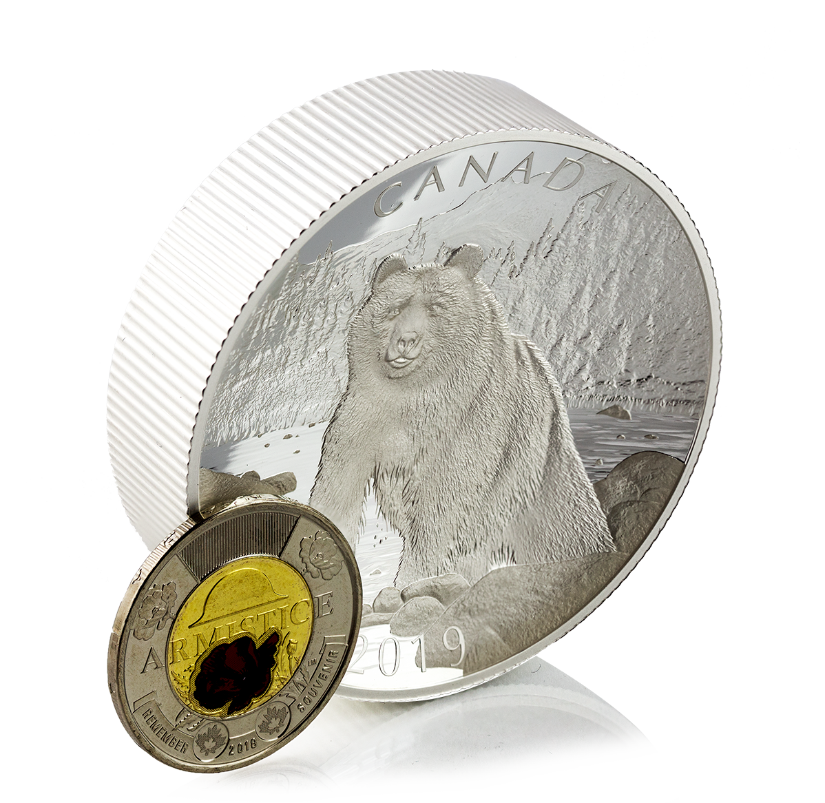 10 oz. Pure Silver Double-Concave Coin - Brown Bear: Nature's Grandeur ...