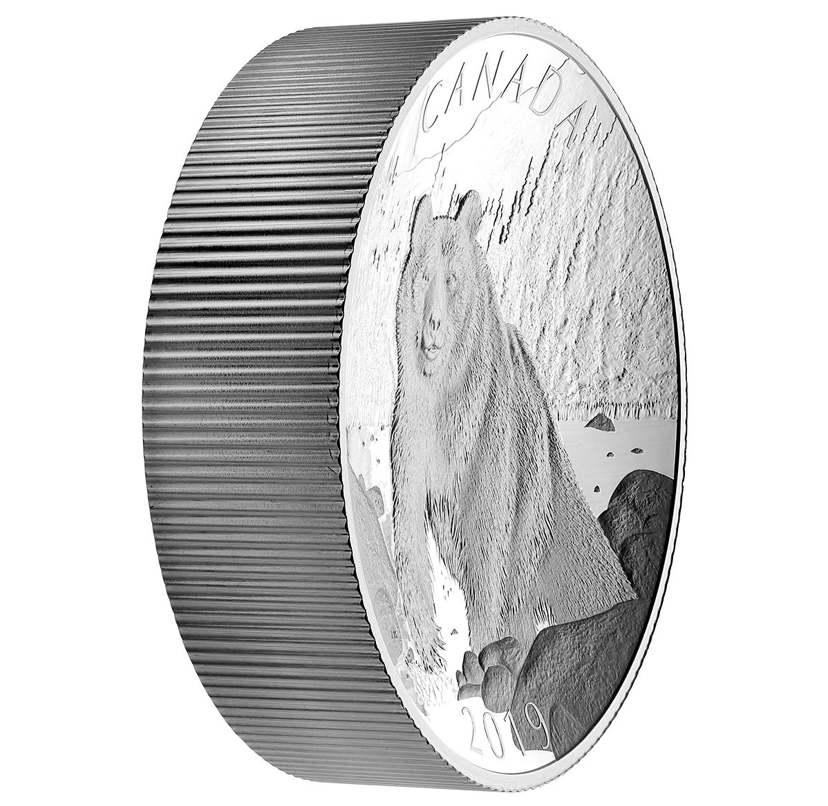 10 oz. Pure Silver Double-Concave Coin - Brown Bear: Nature's Grandeur ...