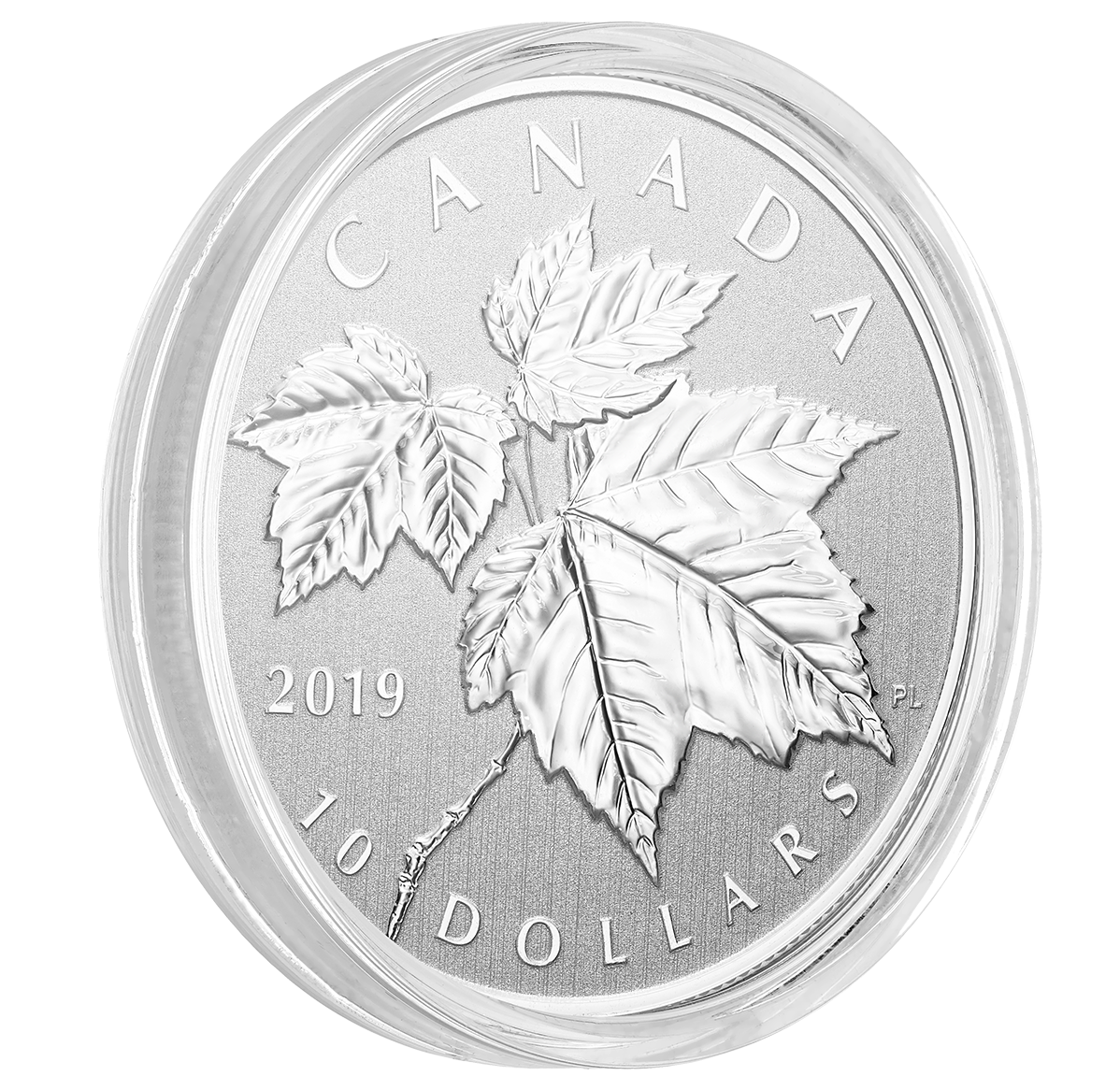 1/2 oz. Pure Silver Coin - The 2019 Maple Leaf Coin | The Royal ...