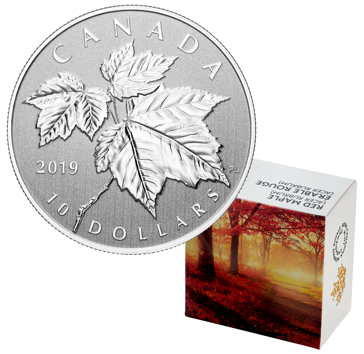 1/2 oz. Pure Silver Coin - The 2019 Maple Leaf Coin | The Royal ...
