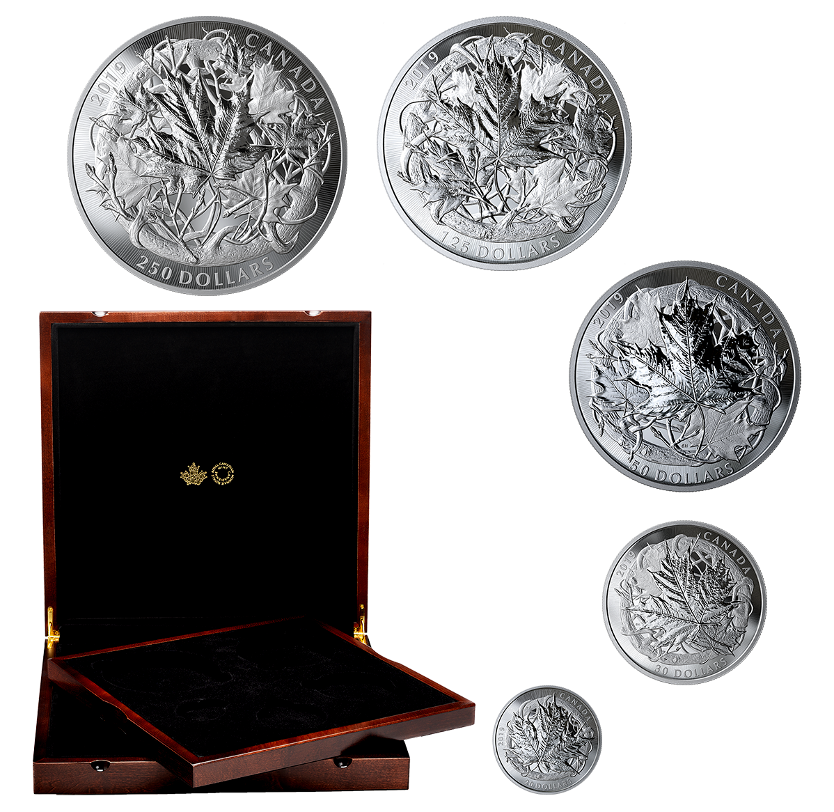 Pure Silver 5-Coin Fractional Set - The Canadian Maple Masters ...