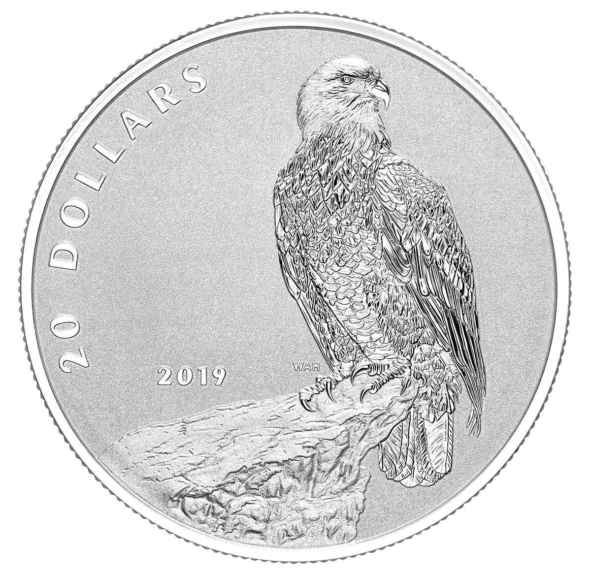 Pièce de 1 oz en argent pur - La force incarnée : Pygargue à tête ...