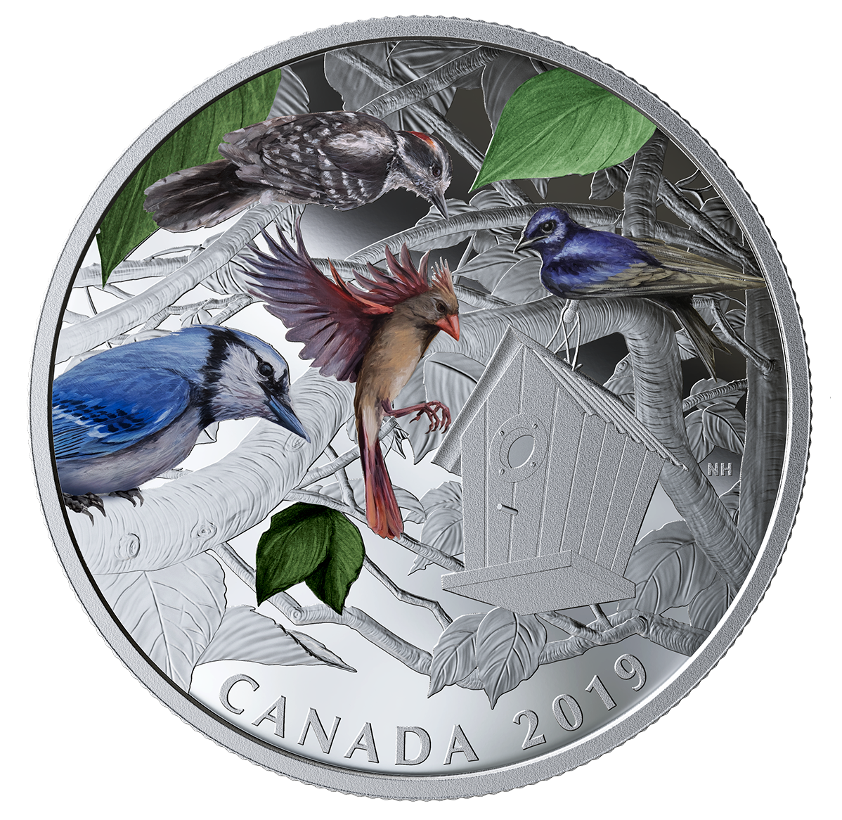Coloured Coin - Birds 2019 | The Royal Canadian Mint